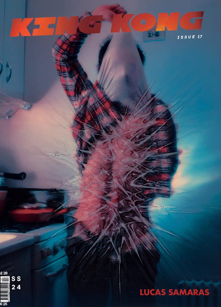 King Kong, Issue 17/Lucas Samaras | Papercut