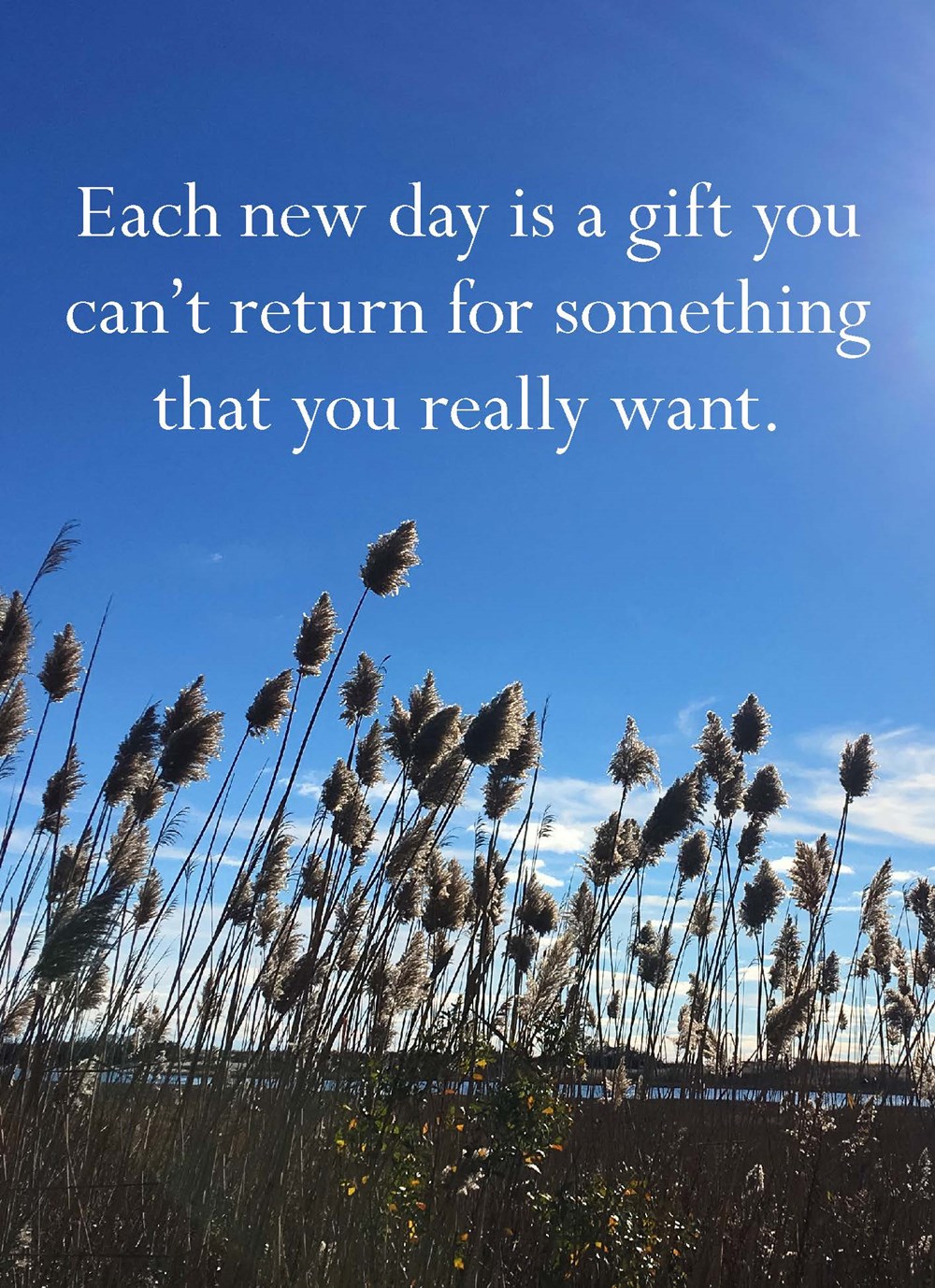 Disappointing Affirmations: 30 Postcards | Papercut